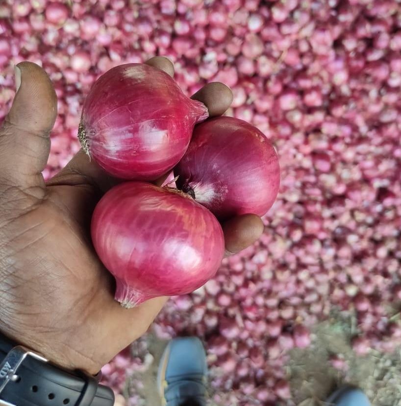 Fresh Indian Vegetables Premium Quality Global Exports AgriPort Life fresh-indian-vegetables-premium-quality-global-exports-agriport-life